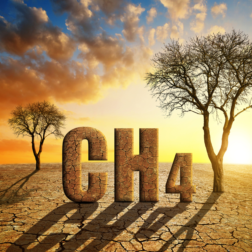 COP26 : l’ONU annonce la création d’un Observatoire international des ...